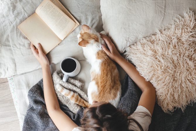 Cozy up with a Good Book or Movie this Fall | Kenton Library